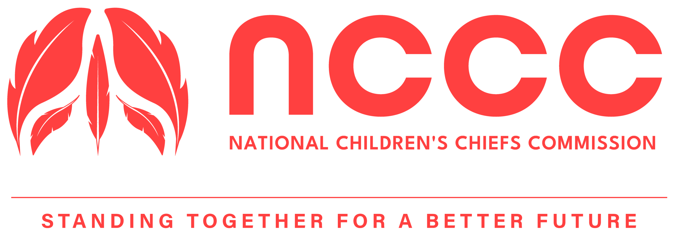 National Children's Chiefs Commission Update Video & Presentation ...